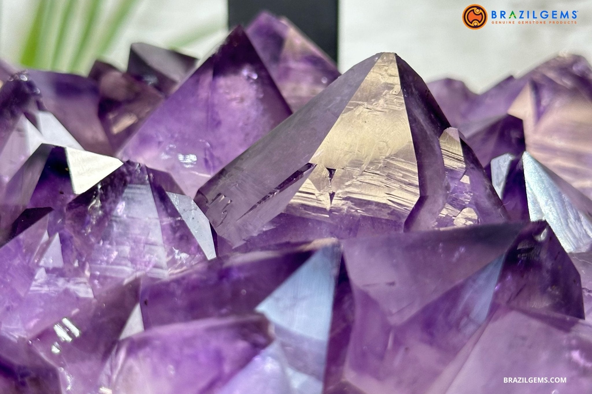 Shop Brazilian Amethyst - Brazil Gems
