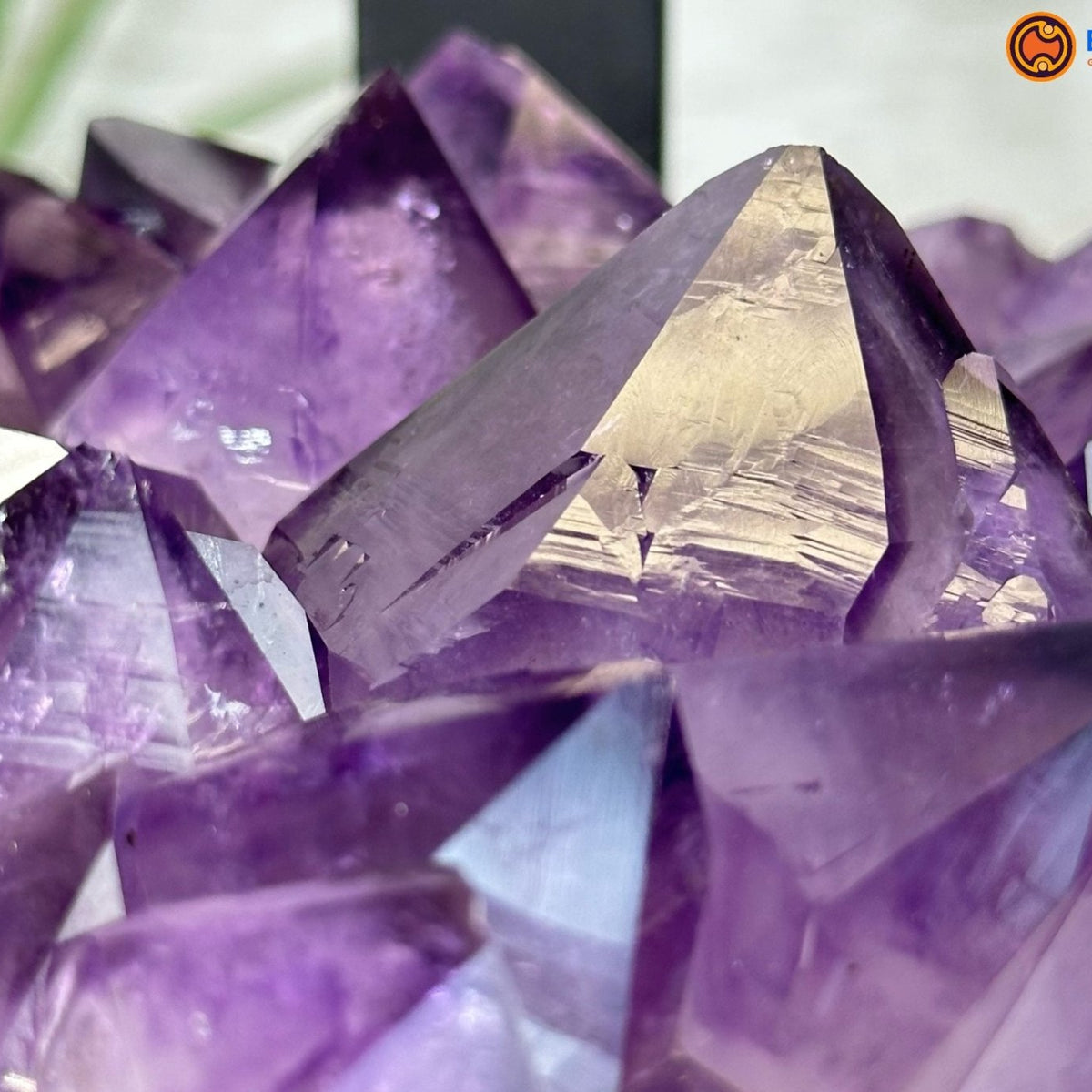 Shop Brazilian Amethyst - Brazil Gems