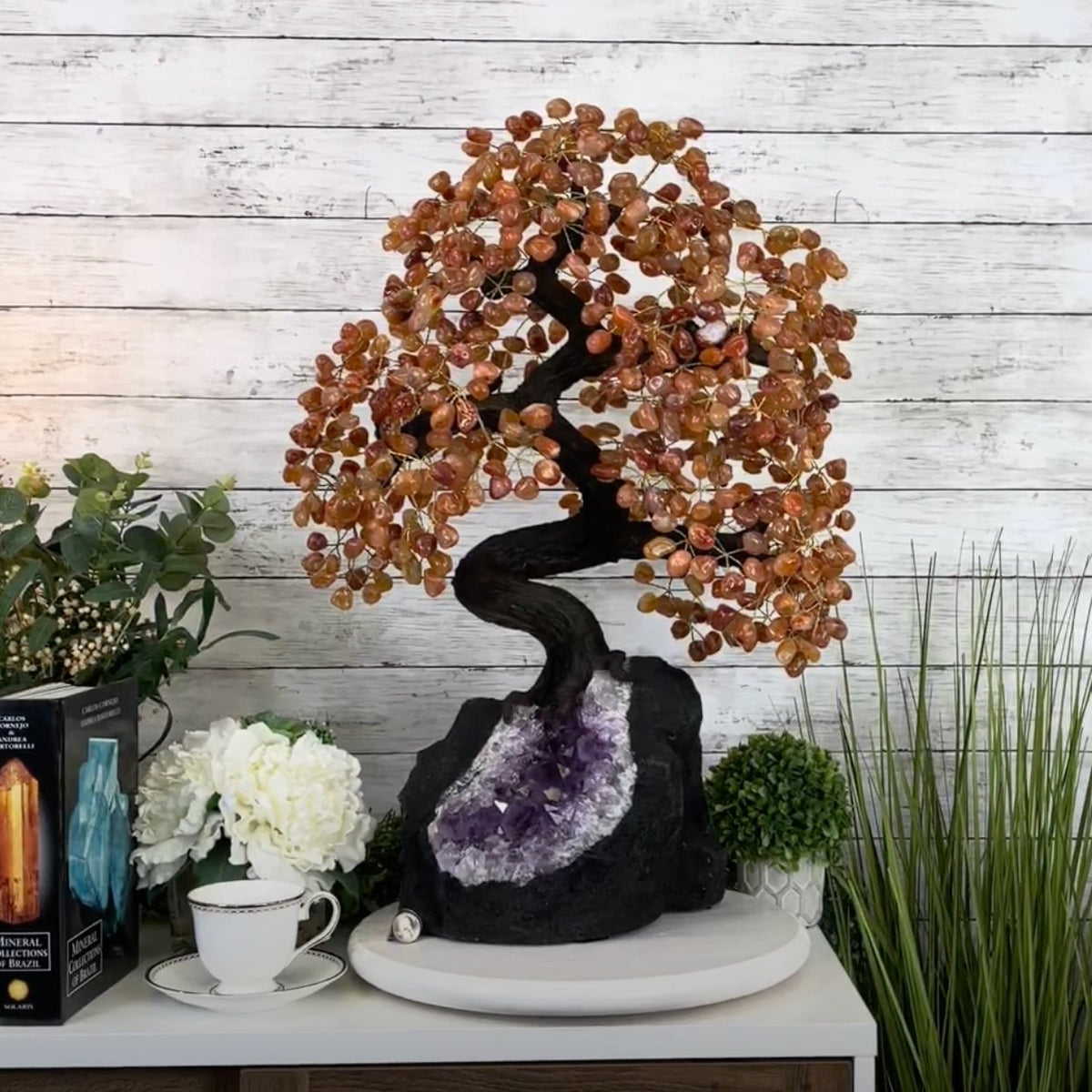 Shop Carnelian Gemstone Trees - Brazil Gems