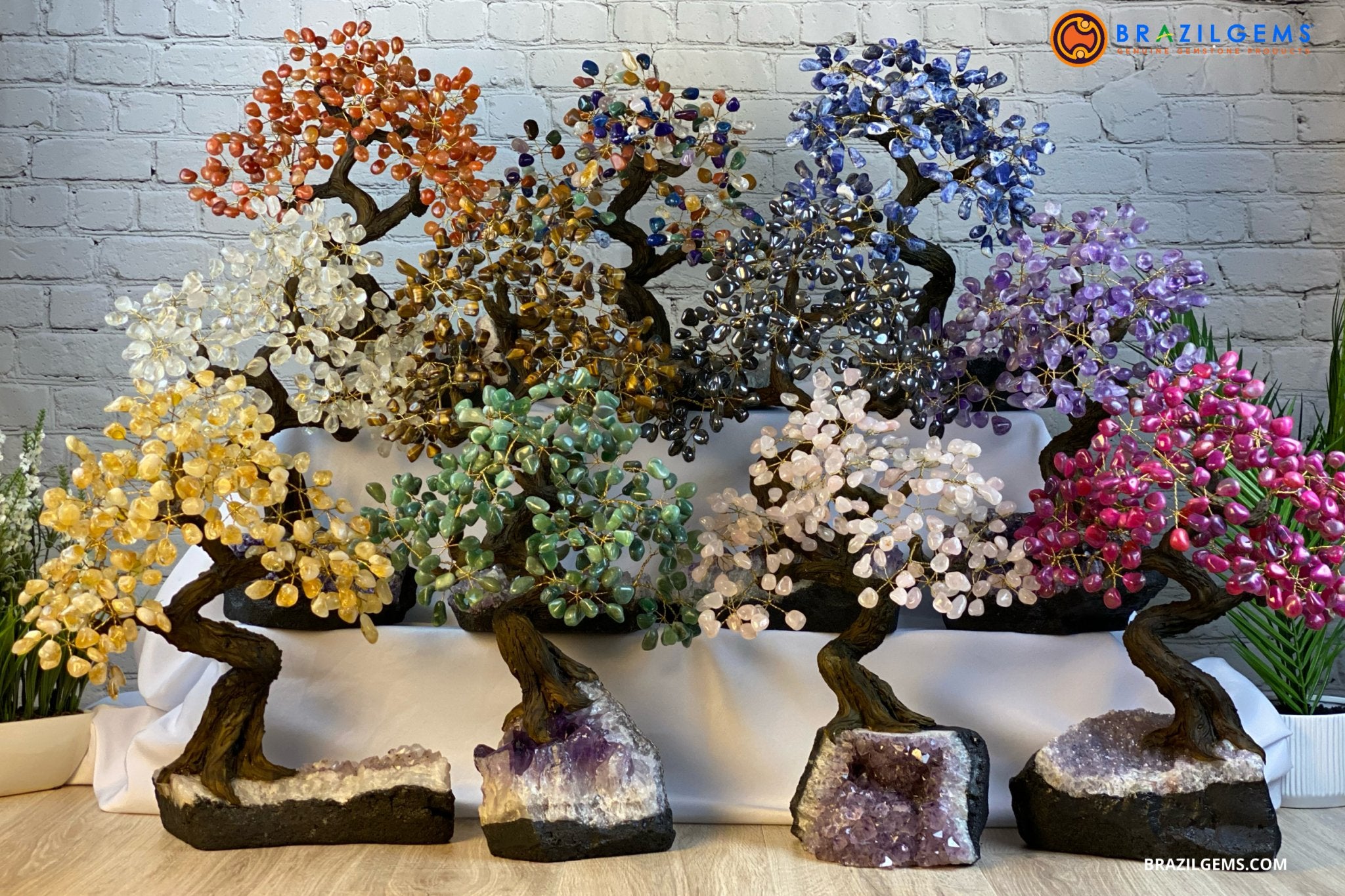 Shop Gemstone Trees Sizes & Styles - Brazil Gems