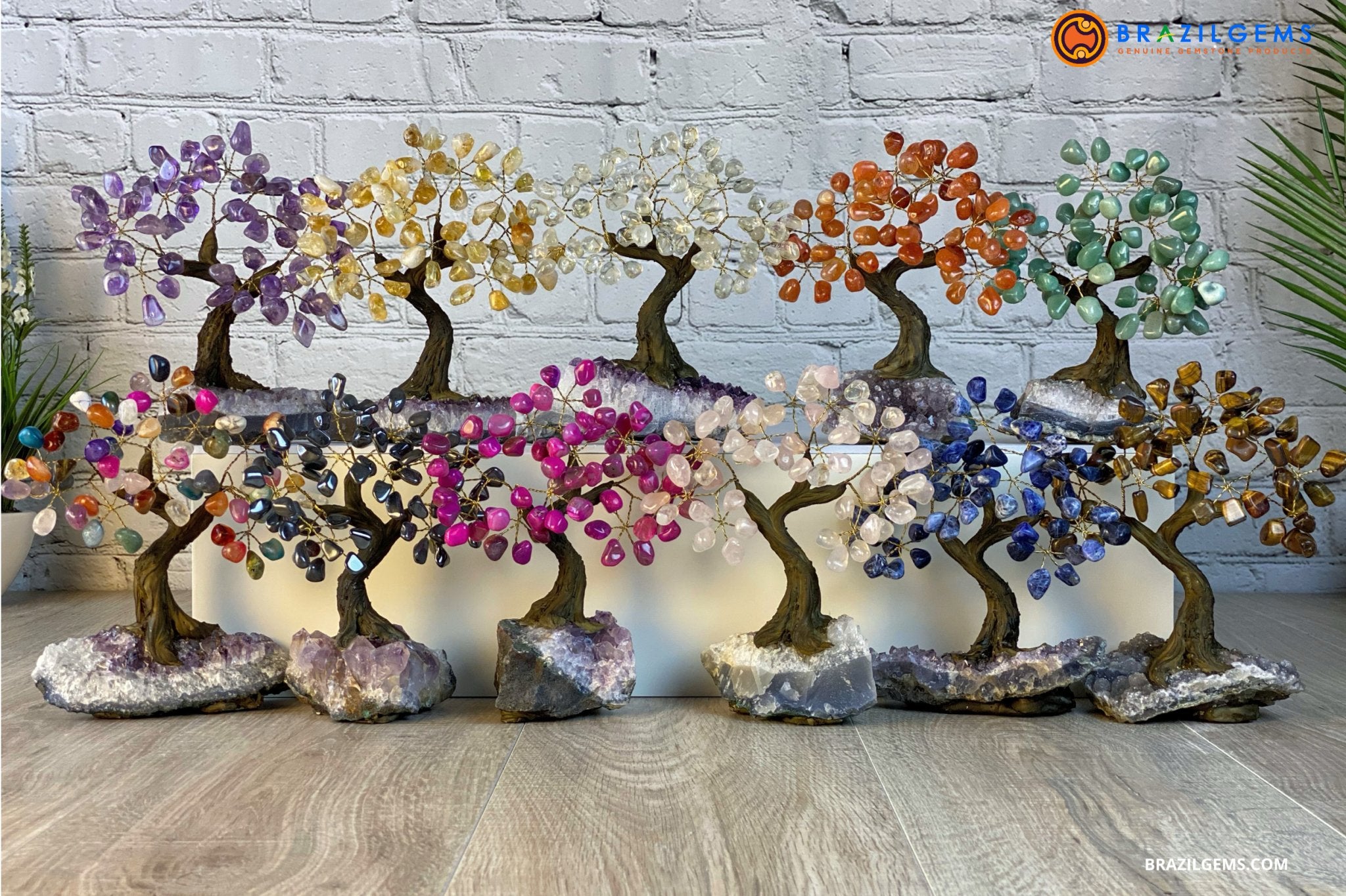 Shop Gemstone Trees Sizes & Styles - Brazil Gems