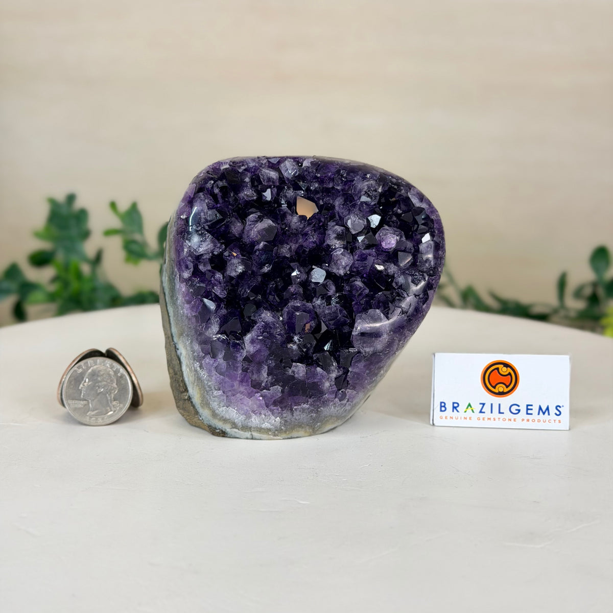 Amethyst Cluster Flat Base by Brazil Gems® Model #5611-0892