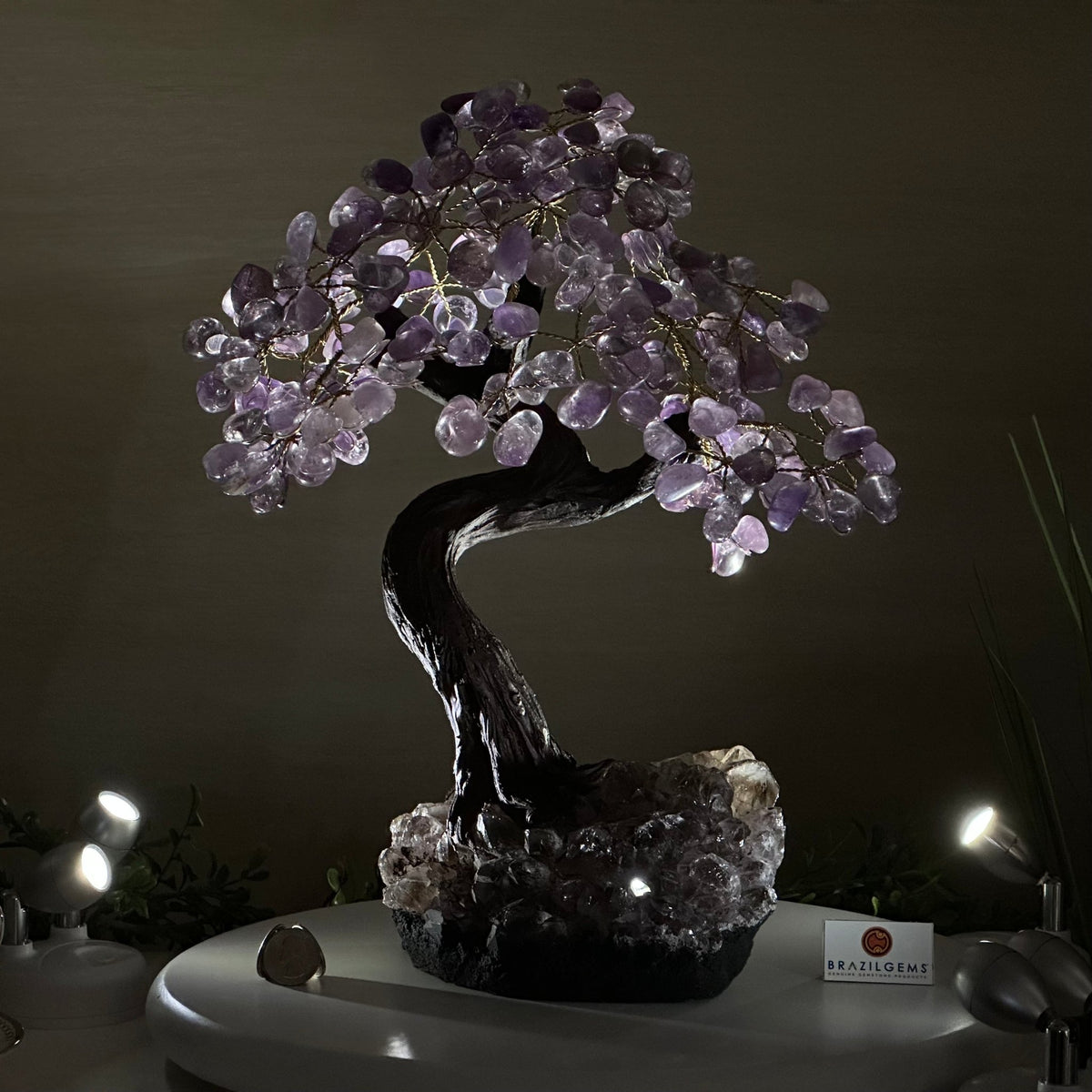 Shop Brazilian Amethyst - Brazil Gems