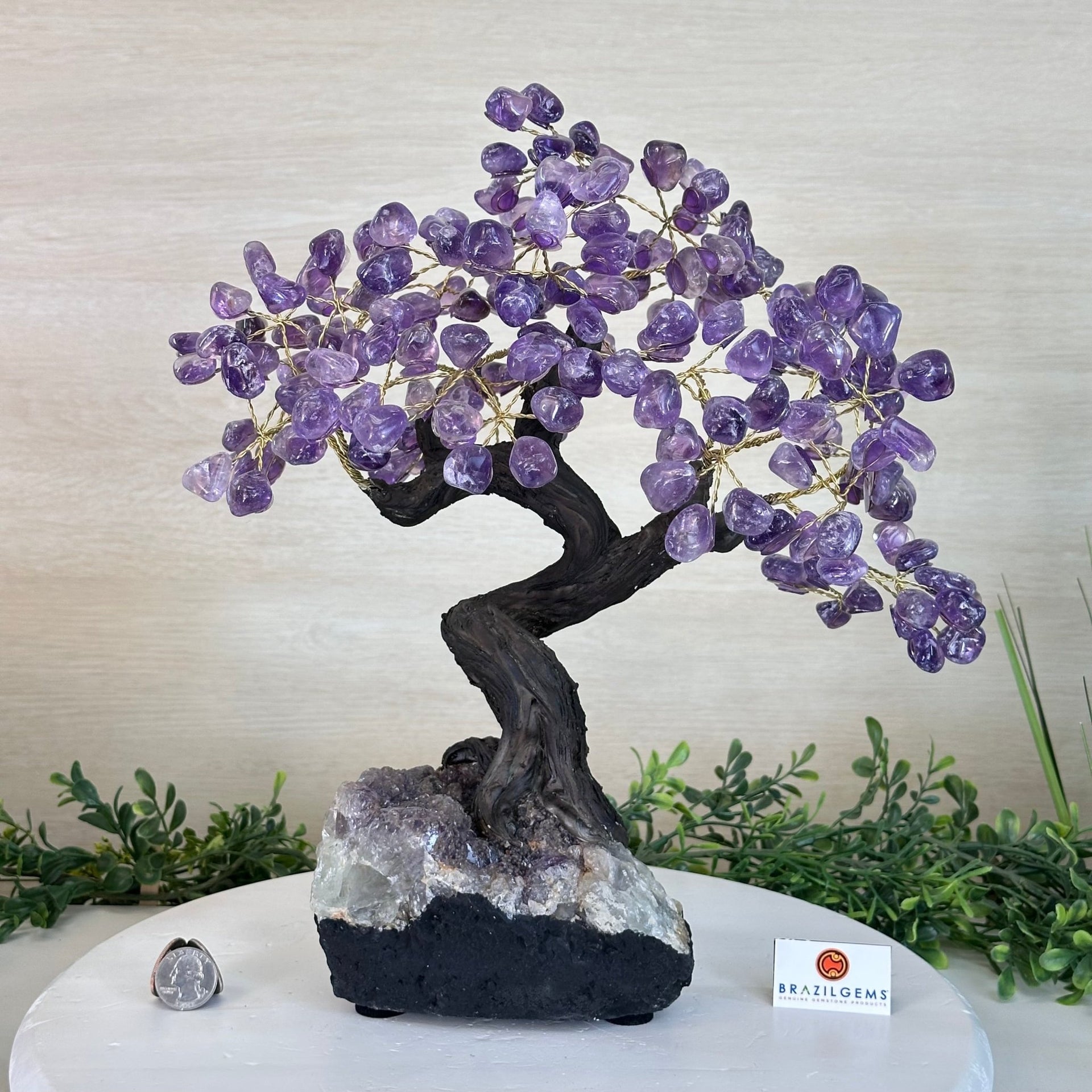 Shop Brazilian Amethyst - Brazil Gems