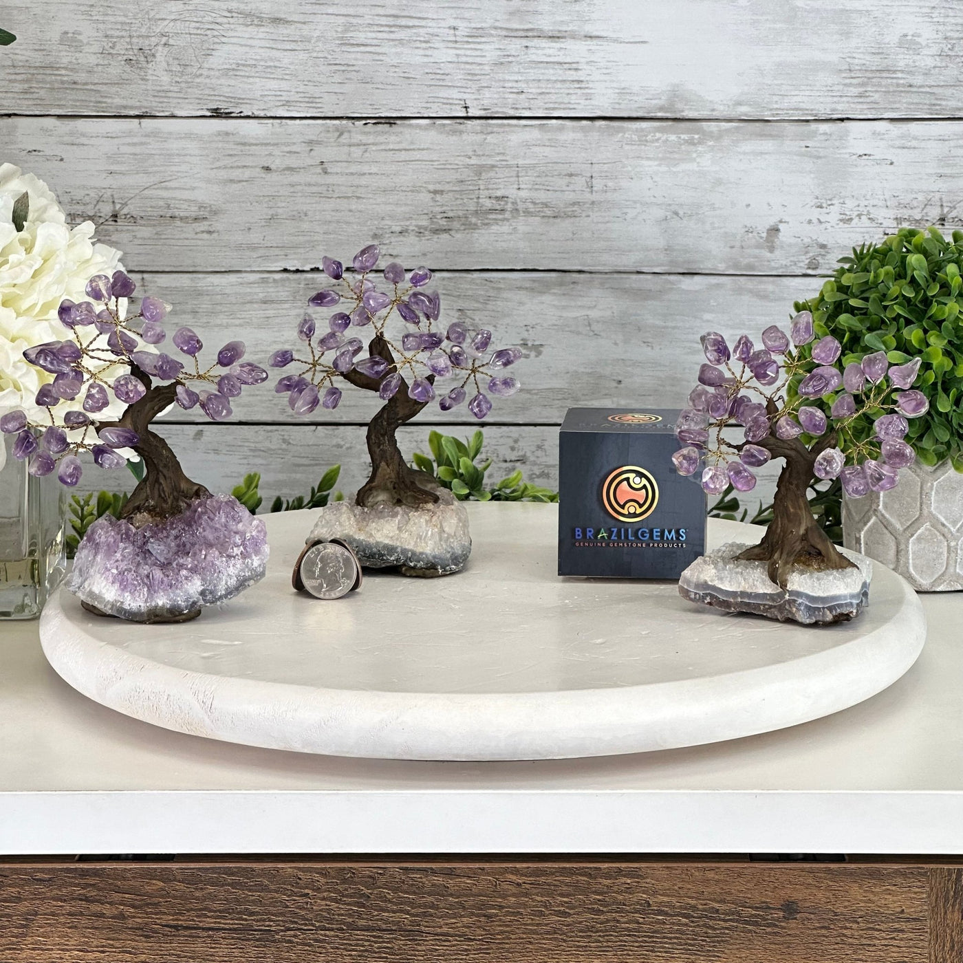 Shop Gemstone Trees - Brazil Gems