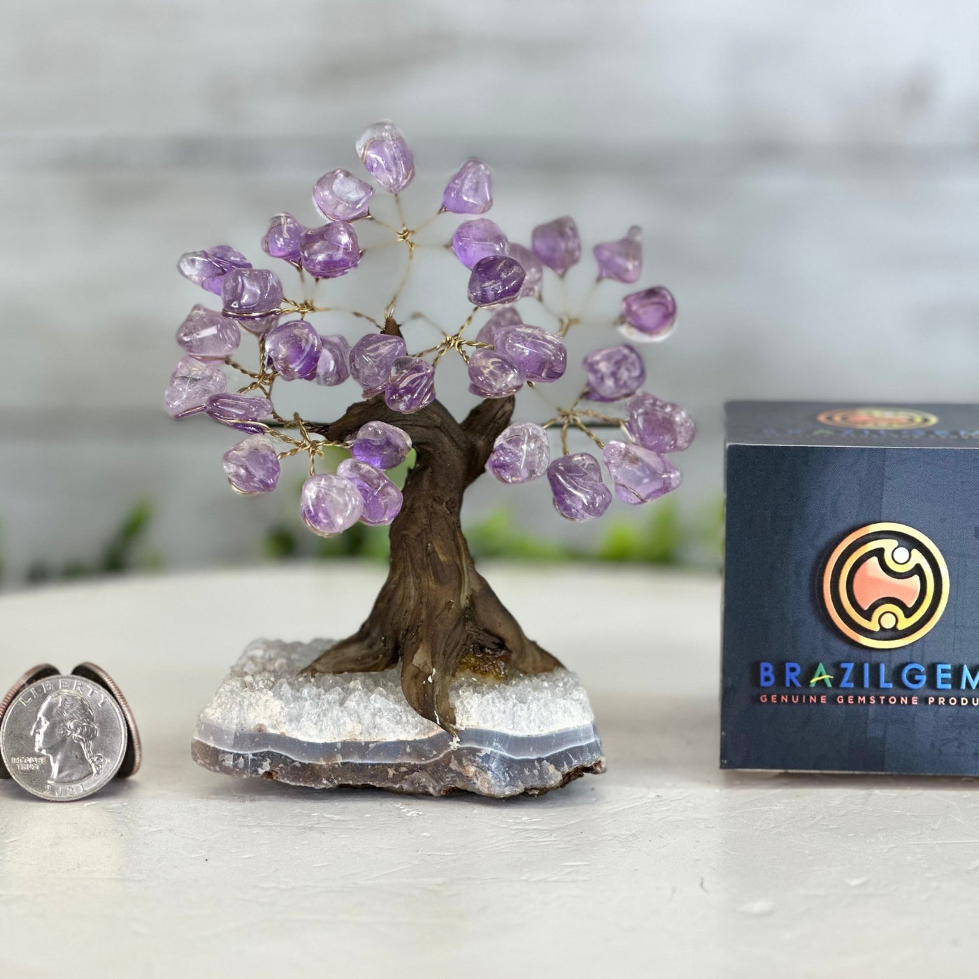 Shop Gemstone Trees - Brazil Gems