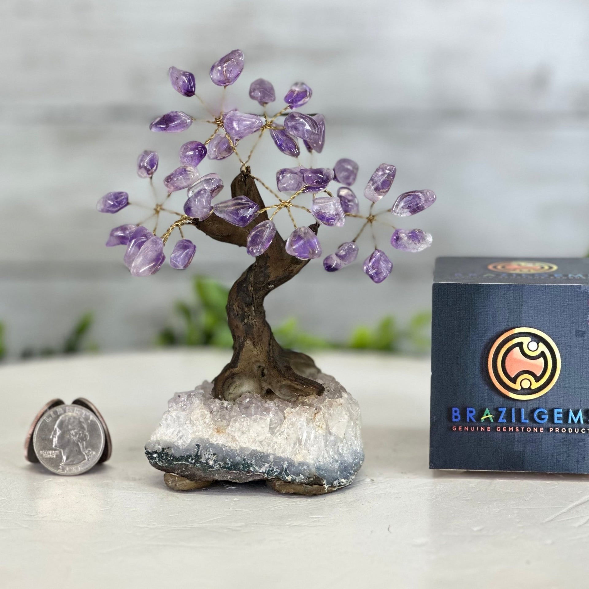 Shop Gemstone Trees - Brazil Gems