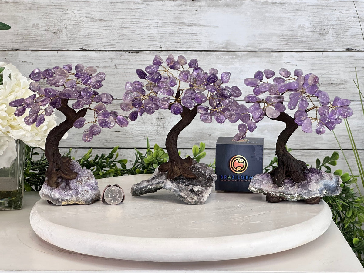 Shop Brazilian Amethyst - Brazil Gems