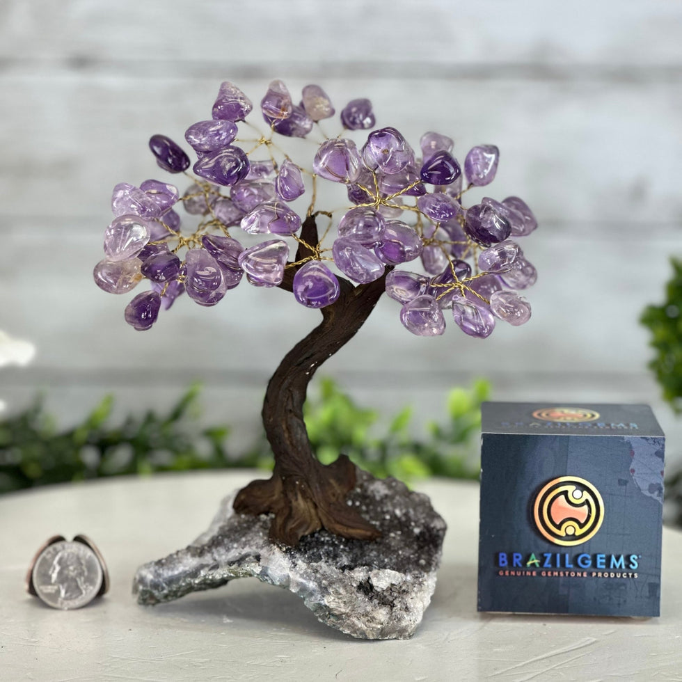 Shop Brazilian Amethyst - Brazil Gems