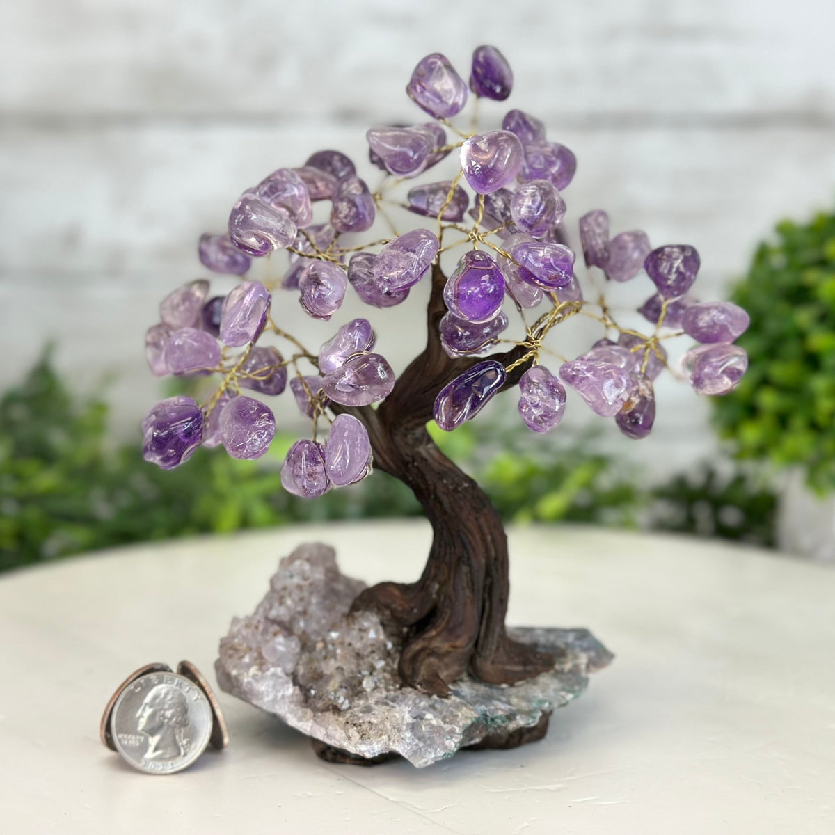 Shop Brazilian Amethyst - Brazil Gems