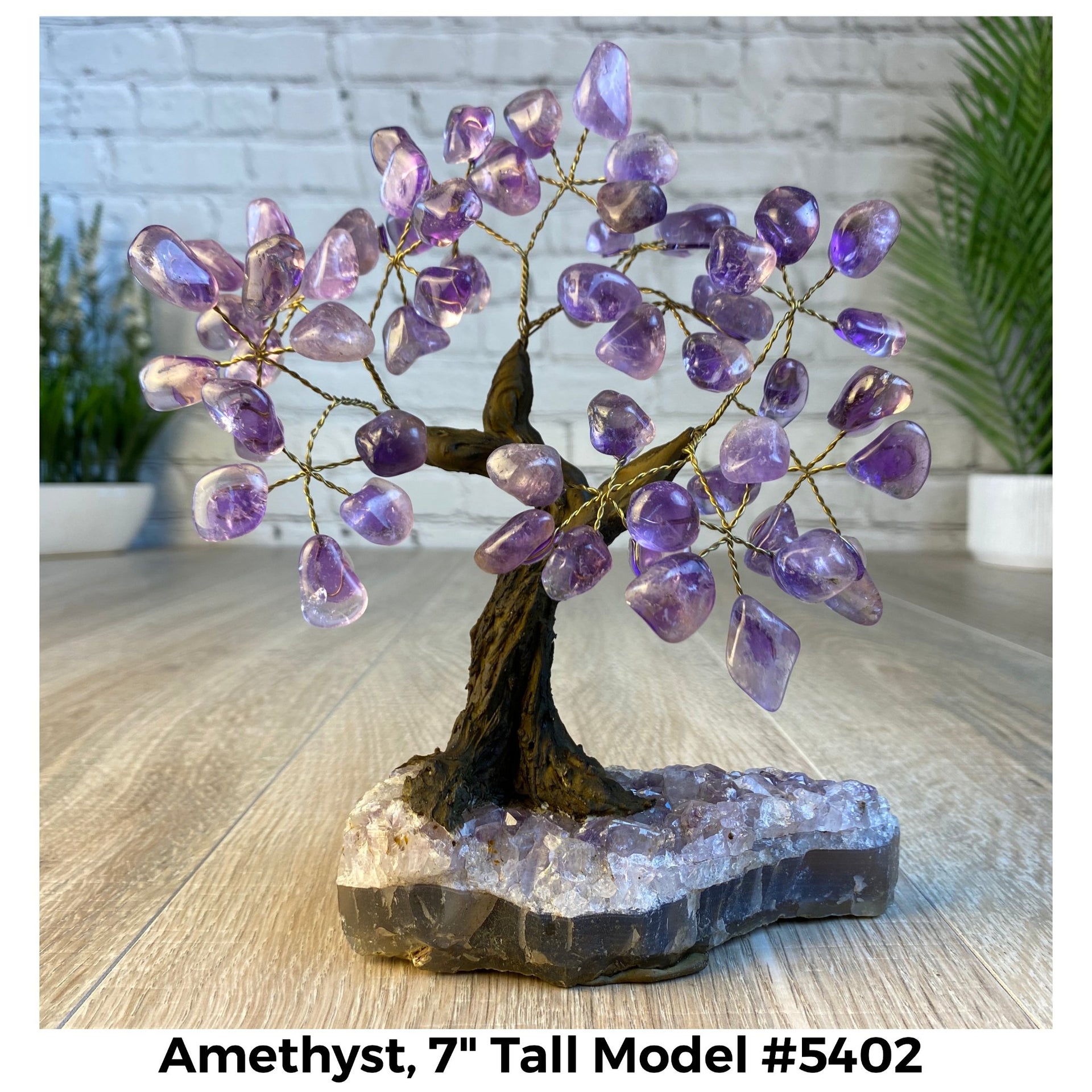Shop Brazilian Amethyst - Brazil Gems