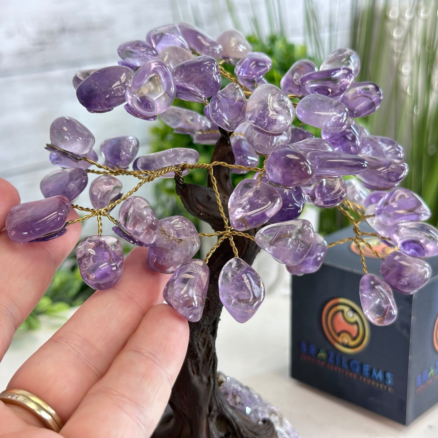 Shop Brazilian Amethyst - Brazil Gems