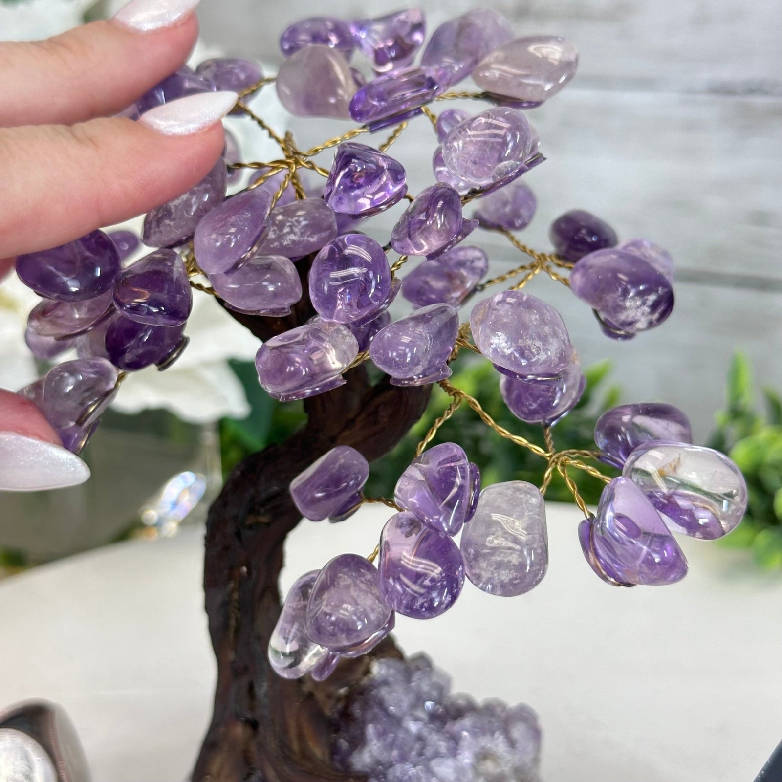 Shop Brazilian Amethyst - Brazil Gems