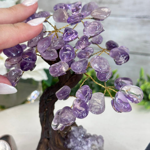 Shop Brazilian Amethyst - Brazil Gems