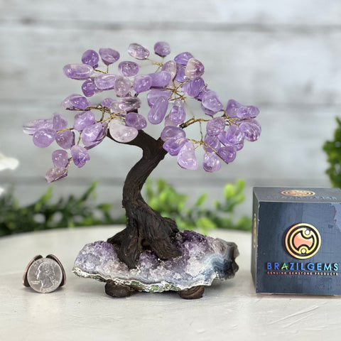 Shop Amethyst Gemstone Trees - Brazil Gems