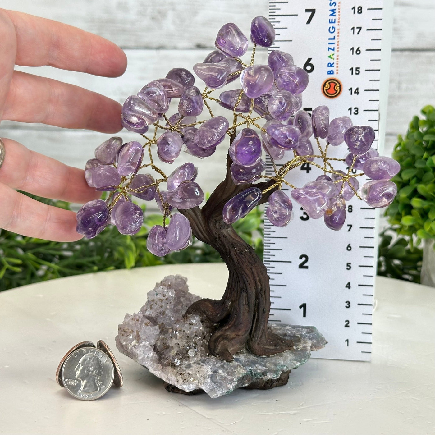 Shop Brazilian Amethyst - Brazil Gems