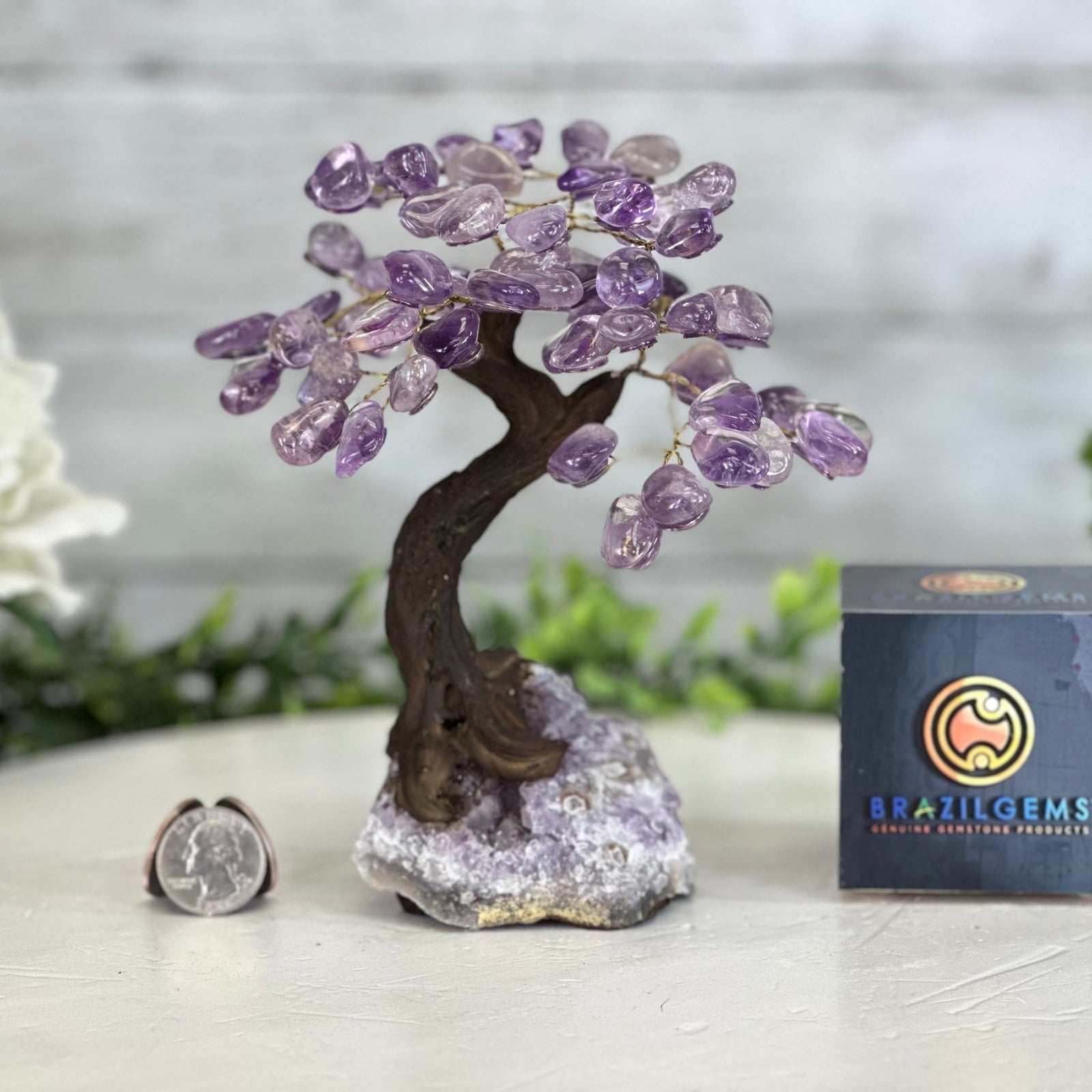 Shop Brazilian Amethyst - Brazil Gems