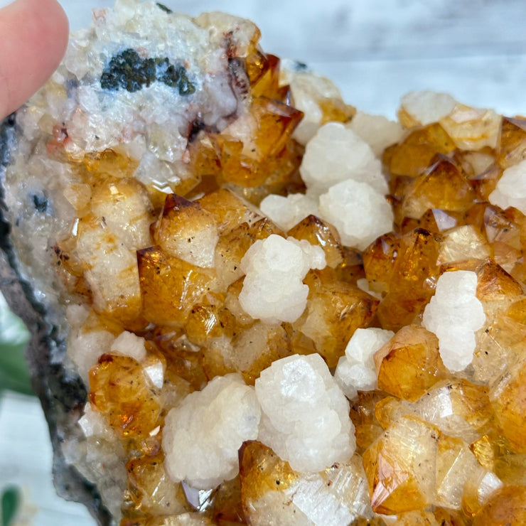 Brazilian Citrine Crystal Cluster by Brazil Gems® #5496-0055 - Brazil Gems