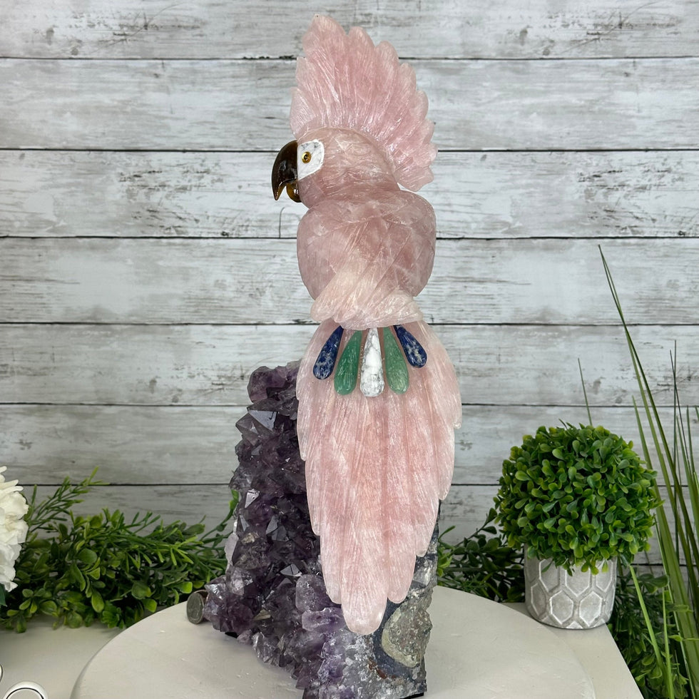 Shop Crystal Birds - Brazil Gems