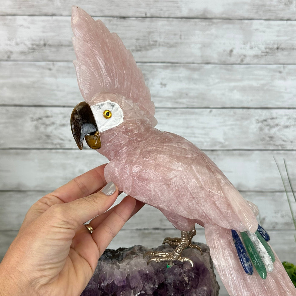 Shop Crystal Birds - Brazil Gems