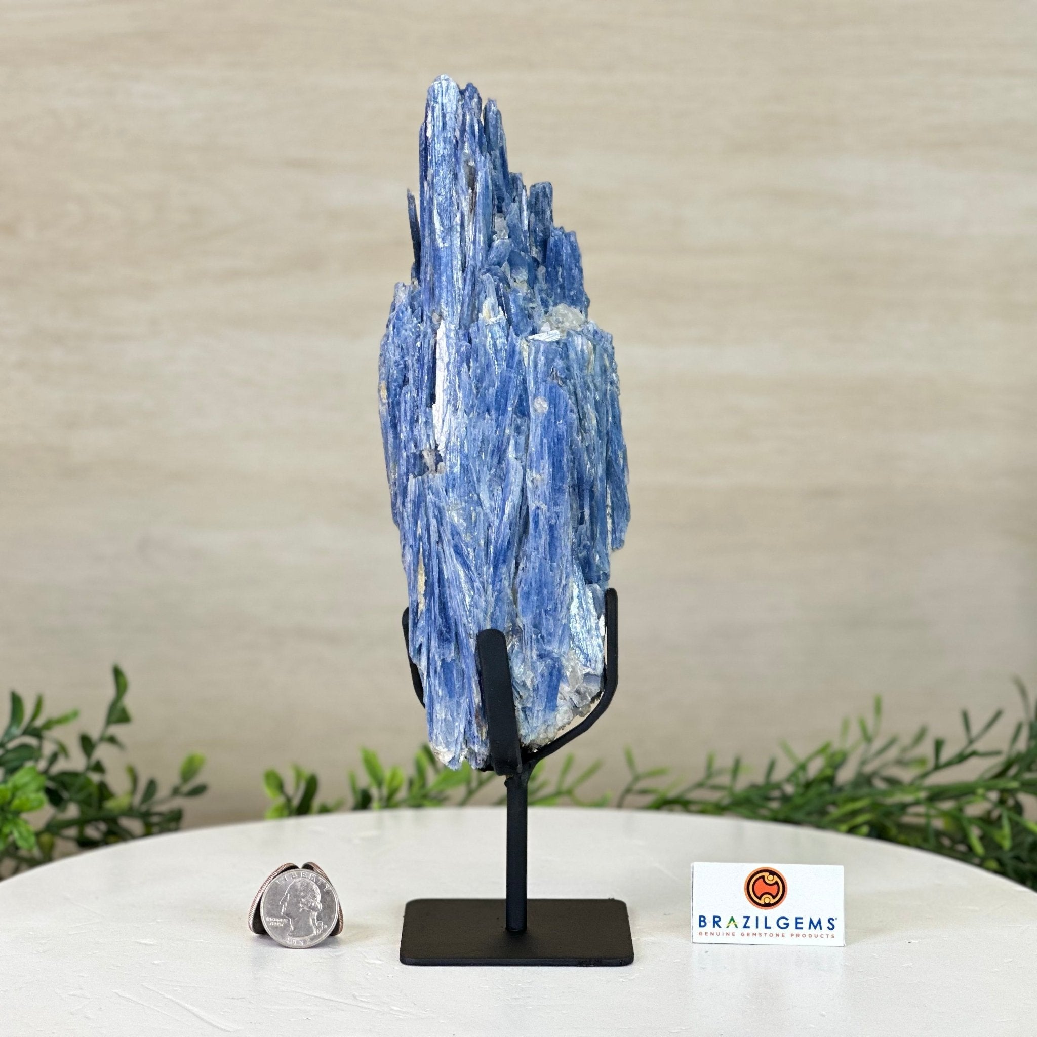 Kyanite Crystal on Metal Stand by Brazil Gems® #6010-0012 - Brazil Gems