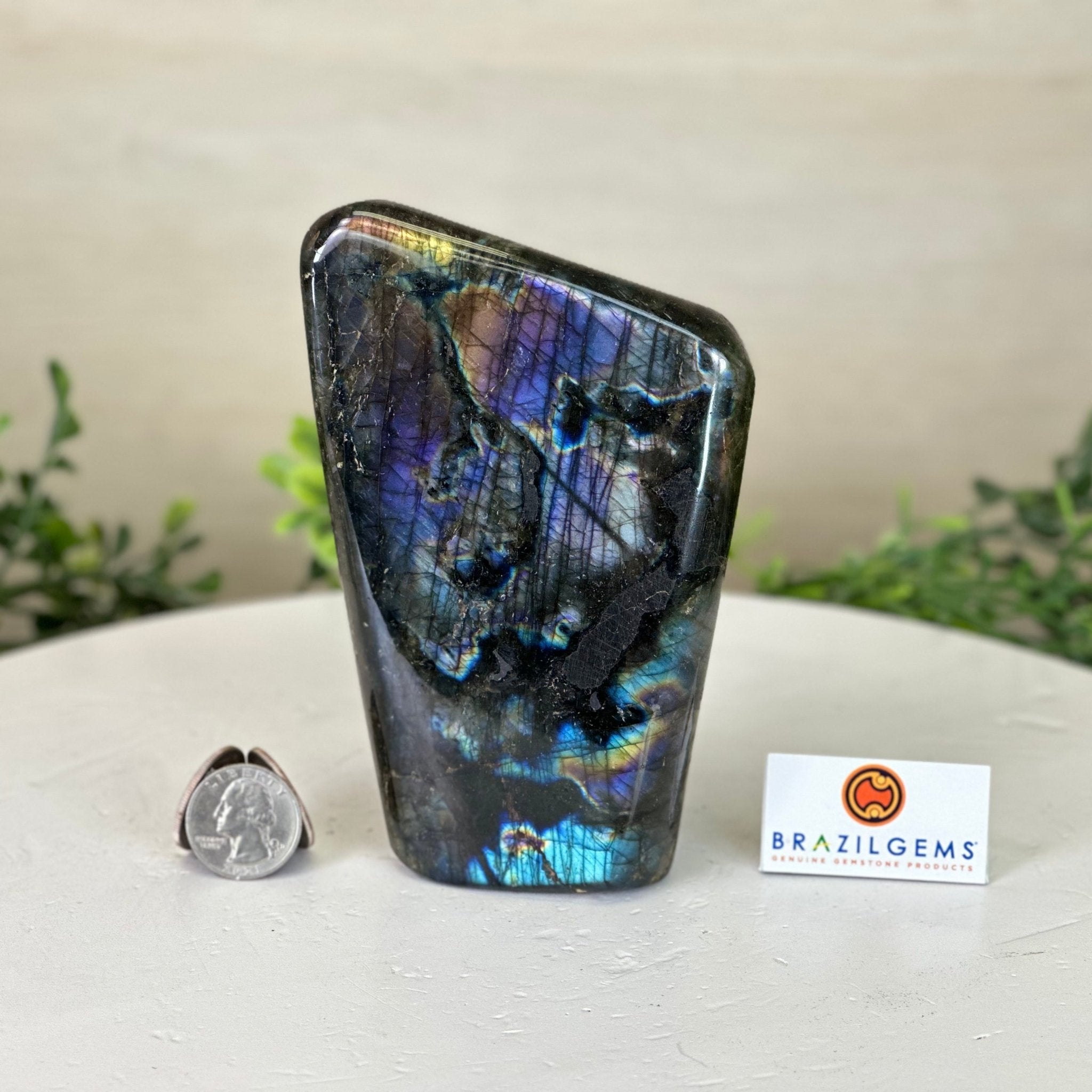 Polished Freeform Labradorite Gemstone Model #3301LB-018 - Brazil Gems