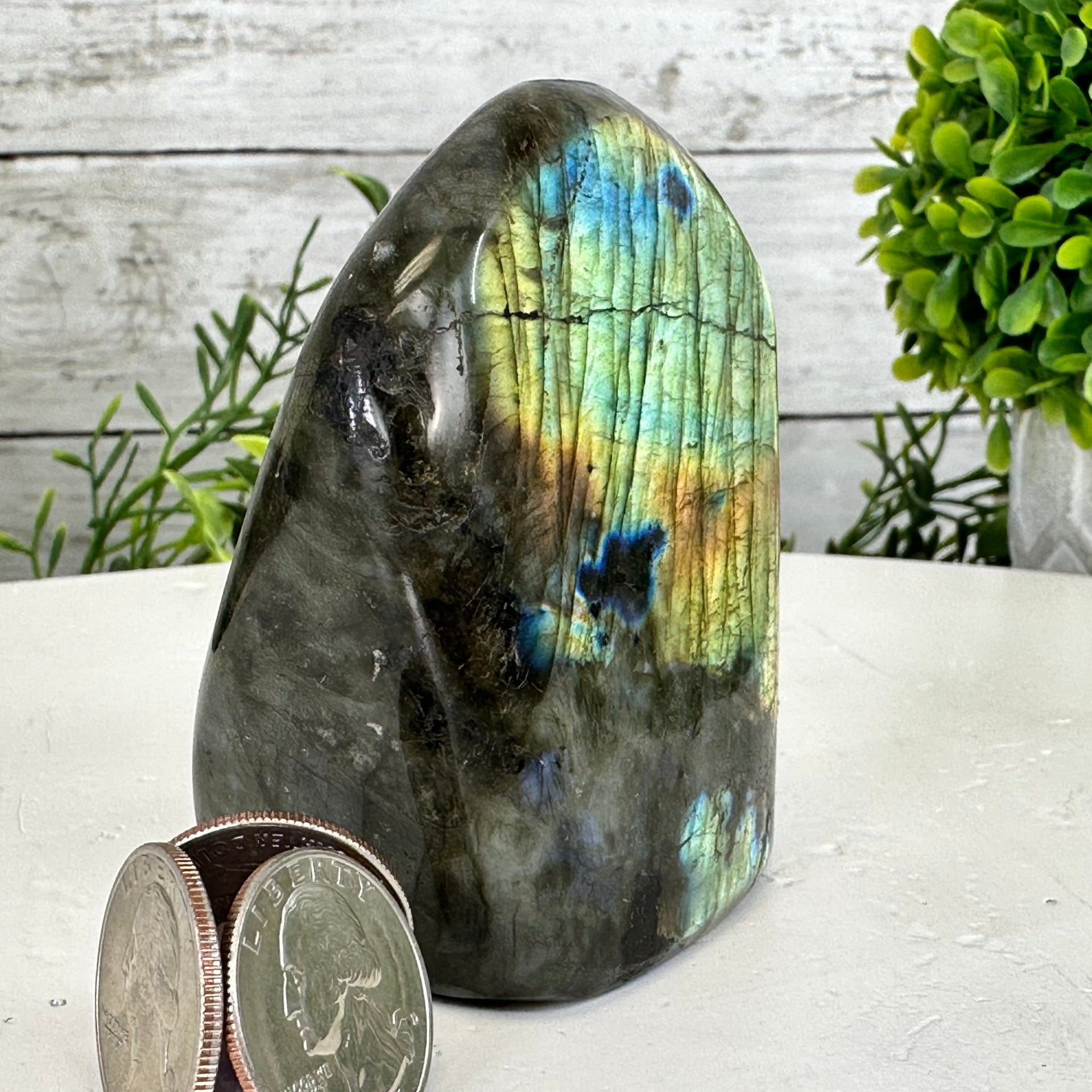 Freeform & Unique Shapes Crystals