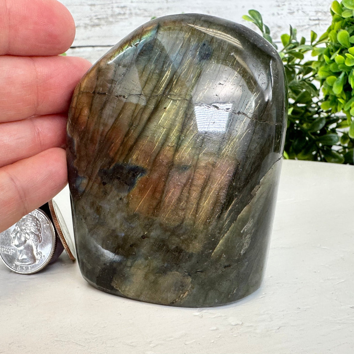 Shop Freeform & Unique Shapes Crystals - Brazil Gems