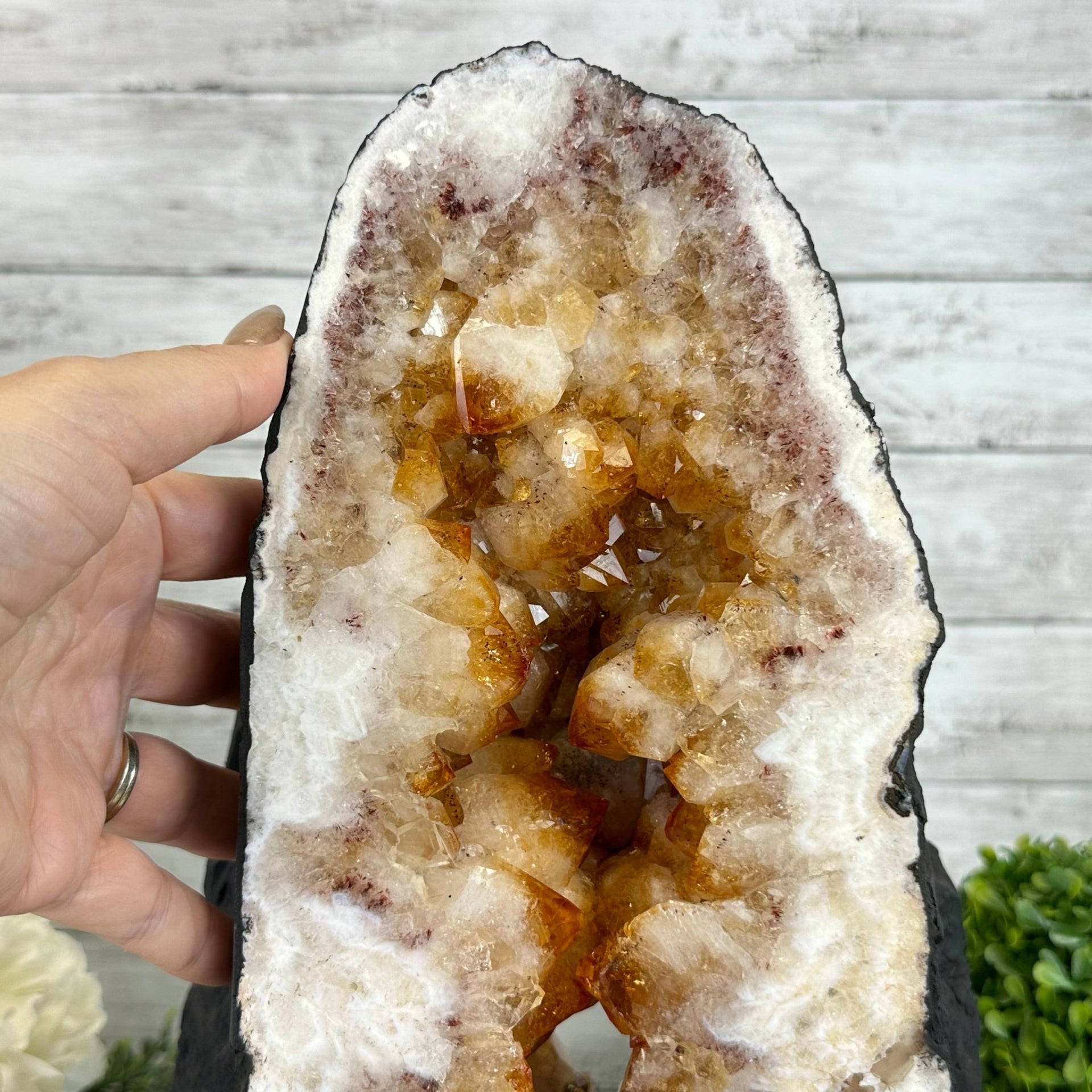 Shop Brazilian Citrine Cathedrals - Brazil Gems